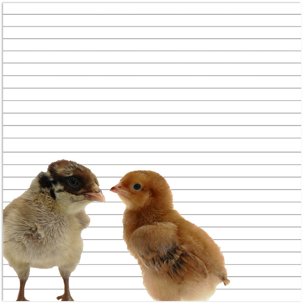 Lined Baby Chick Friends | Printable Scrapbooking Paper - DIY Craft Club