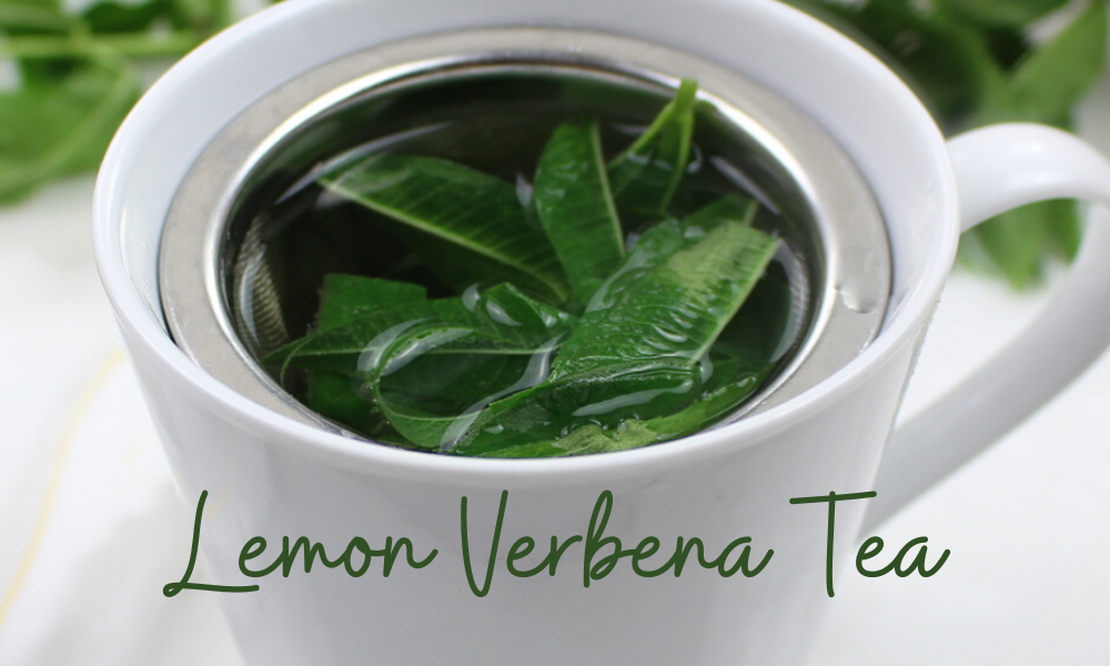 How To Make Lemon Verbena Tea From Scratch - DIY Craft Club