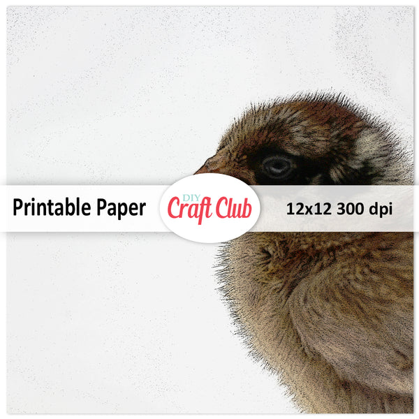Brown Baby Chick | Printable Scrapbooking Paper - DIY Craft Club