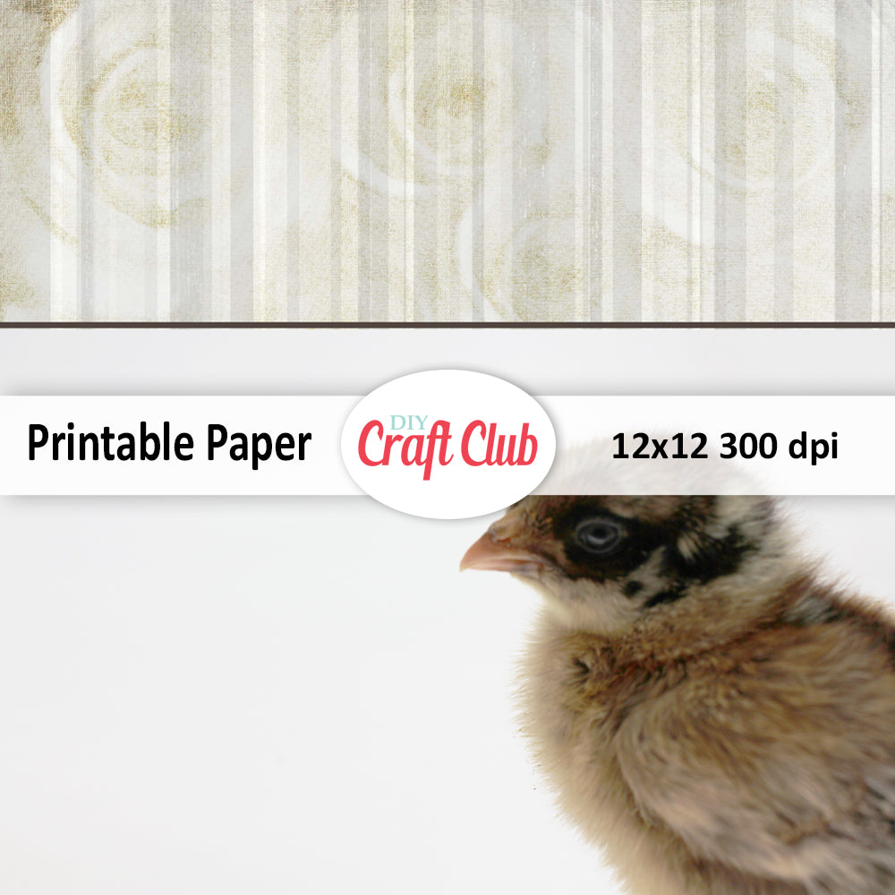 Baby Chick | Printable Collage Sheets - DIY Craft Club