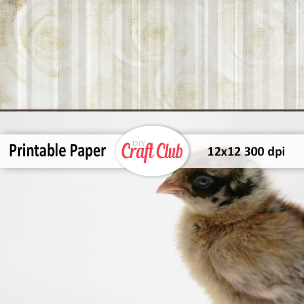 Baby Chick | Printable Collage Sheets - DIY Craft Club
