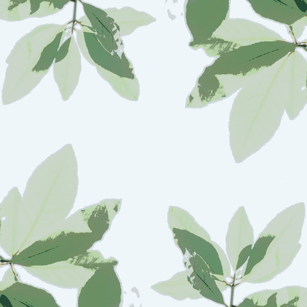Printable Scrapbooking Paper | Greenery - DIY Craft Club