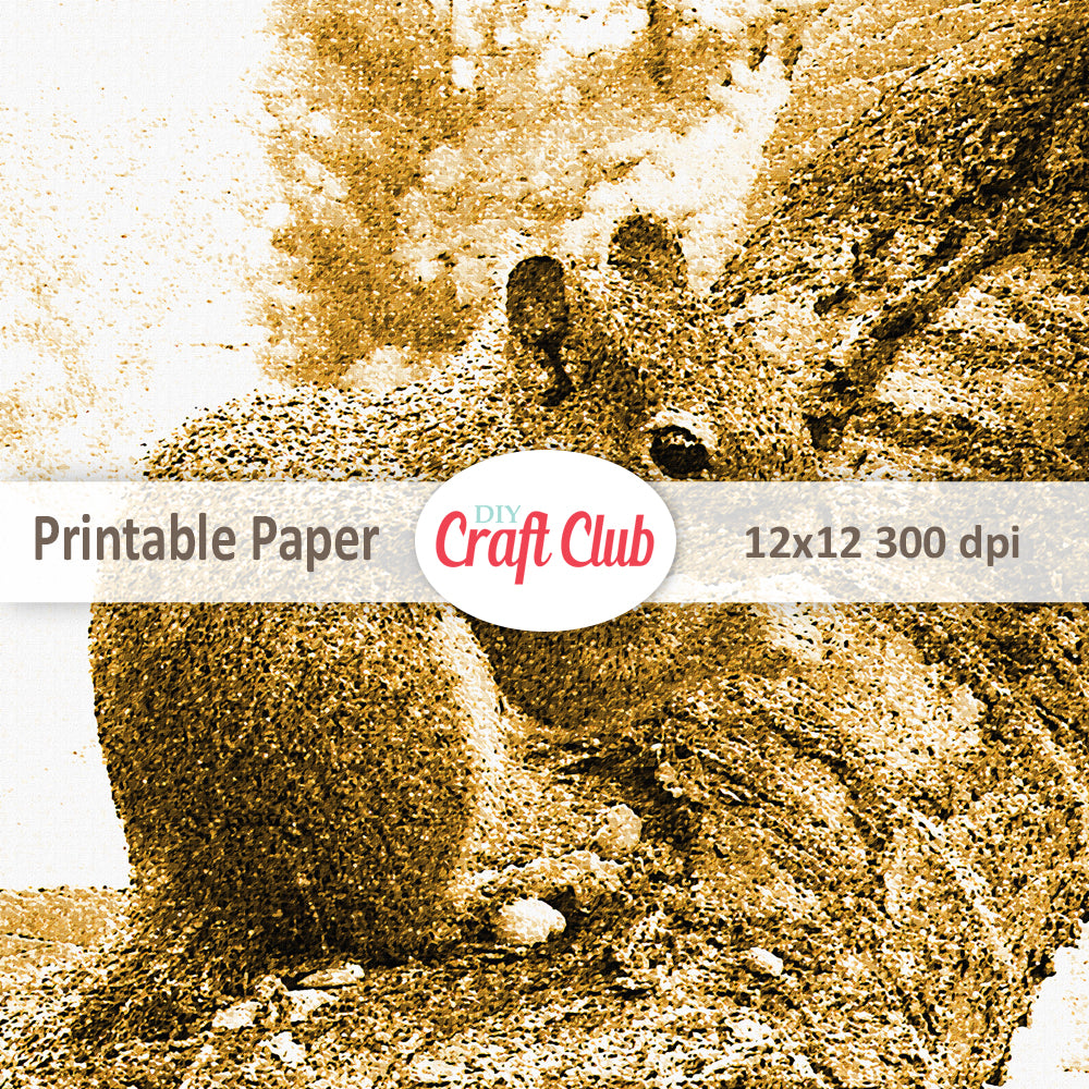 Squirrel Printable Paper - DIY Craft Club